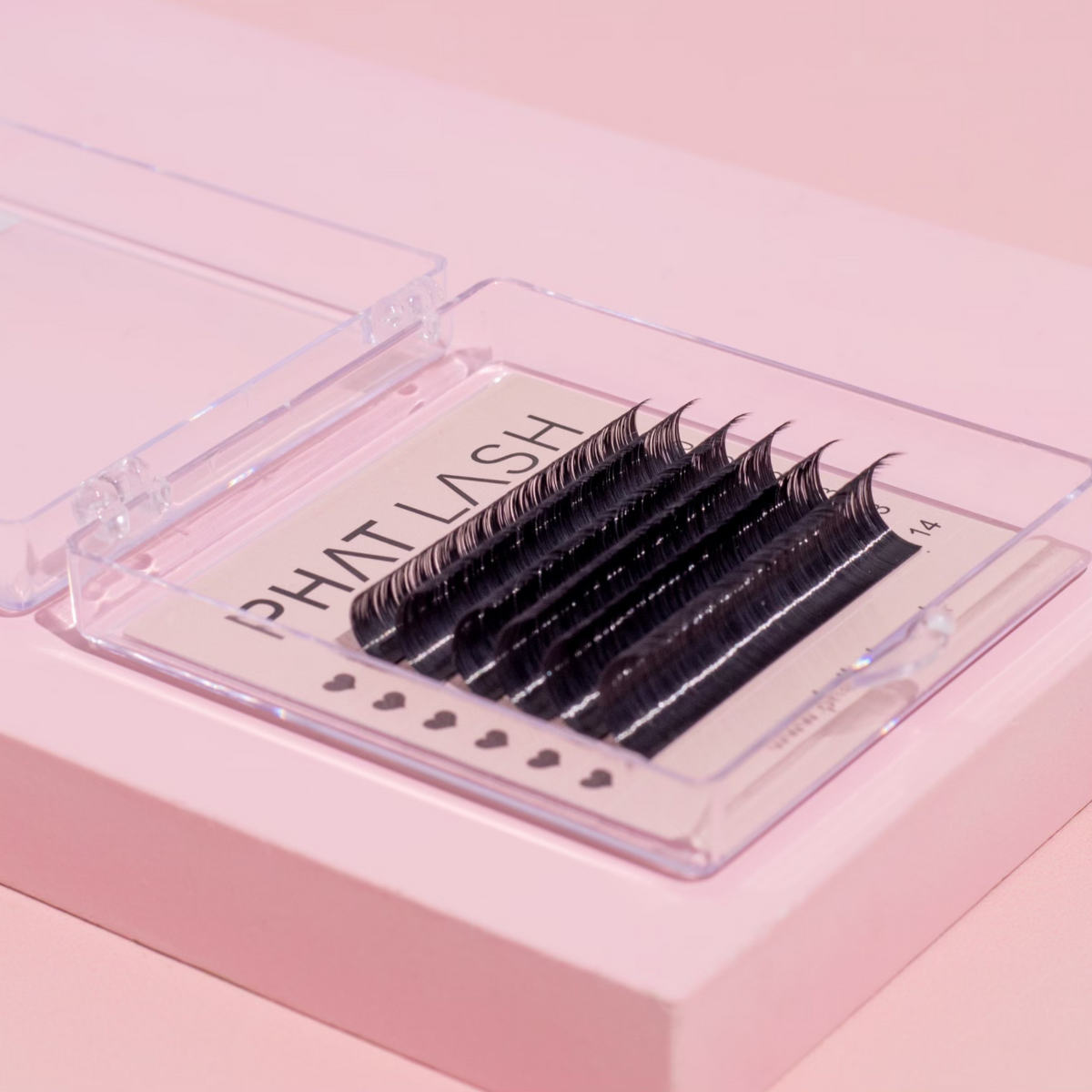 MINI LASH TRAYS – PHAT LASH UK